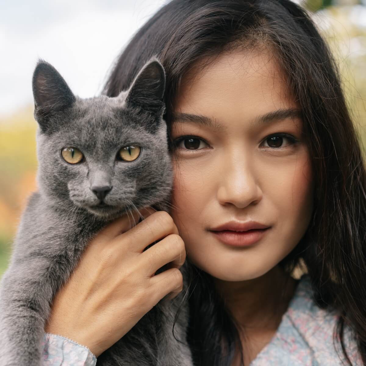 What is a Therapy Cat? – CATsNAP