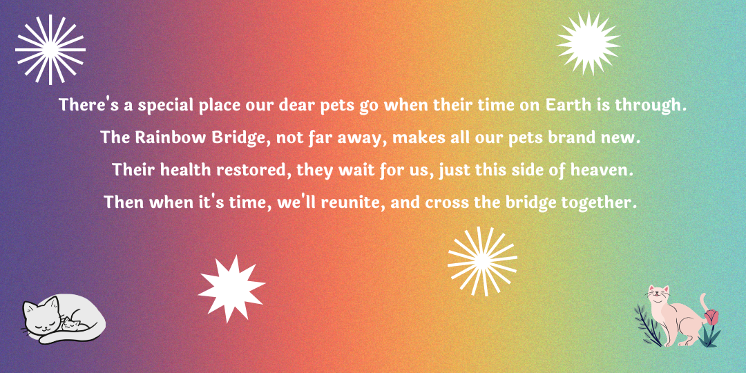 Memorials – CATsNAP