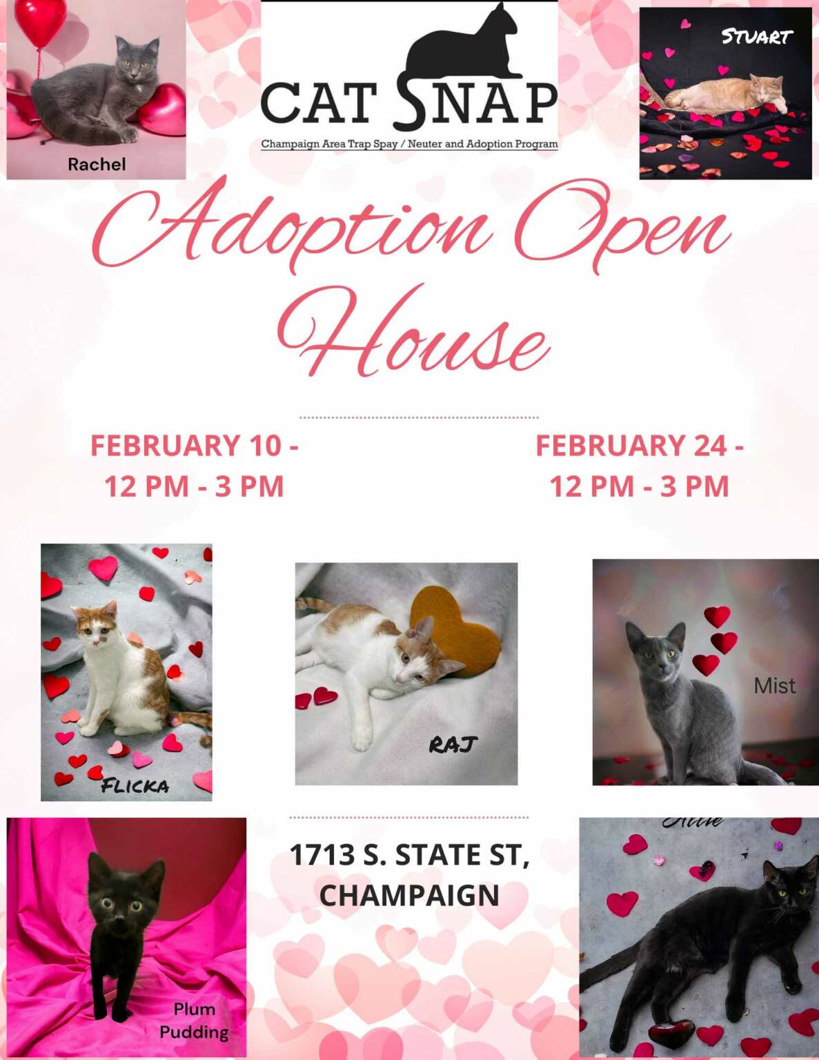 Events for January 2025 – CATsNAP