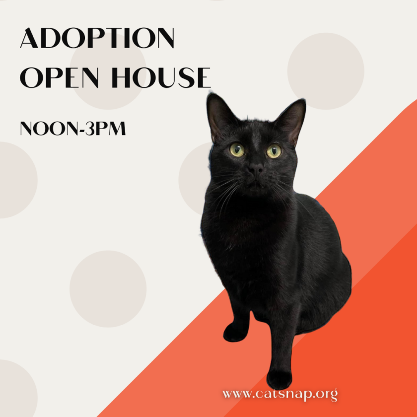 Events for January 2026 – CATsNAP