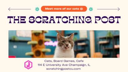 Adoptable Cats – CATsNAP